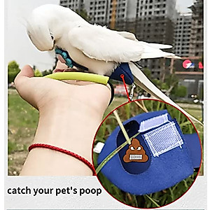 Yu~'s north Bird Diaper Harness Flight Suit Clothes with Flying Leash for Parrots Cockatiel Pet Birds, Parrot Clothes, Bird Training Nappy Suit Liners Clothes (M, Red), Medium