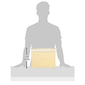 Paper Basket Storage Box, Beige 58-91GY