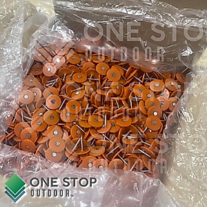 100 Pack - Round Plastic Cap Nail 1 Inch Roofing Nails Galvanized Tar Paper Nails for House Wrap Fastening Foam Board Roofing Felt Insulation Film (100)