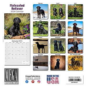 2023 2024 Flat-Coated Retriever Calendar - Dog Breed Monthly Wall Calendar - 12 x 24 Open - Thick No-Bleed Paper - Giftable - Academic Teacher's Planner Calendar Organizing & Planning - Made in USA
