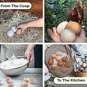 Auhafaly Egg Basket, Collapsible Mini Storage - Can Easily Load Eggs for Carrying and Collecting Eggs, Easy Washing, and Fast-drying, Country Primitive Farmhouse Style (Medium)