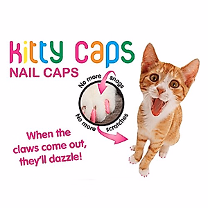 Kitty Caps Nail Caps for Cats | Safe, Stylish & Humane Alternative to Declawing | Stops Snags and Scratches, Medium (9-13 lbs), Black with Gray Tips & Baby Blue