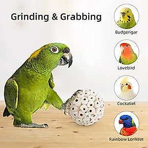 andwe Bird Toy Sola Balls - Natural Soft Chew Shredding & Foraging Toy for Cockatiel Conure Quaker Parrot Budgie Parakeet Rabbit Bunny Guinea Pig Chinchilla (Style 2 (Pack of 6))