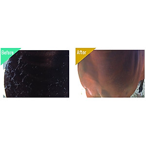 Big Mare Horse Medicated Body Wash | Clinically Proven Effective for Girth Itch, Scratches, Hives, Rain Rot, Dry, Irritated Skin & Hair Loss | Veterinary Approved & Recommended 32 oz Bottle