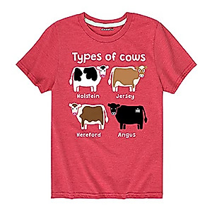 Case IH Types of Cows - Toddler Short Sleeve Graphic T-Shirt - Size 3T Heather Red