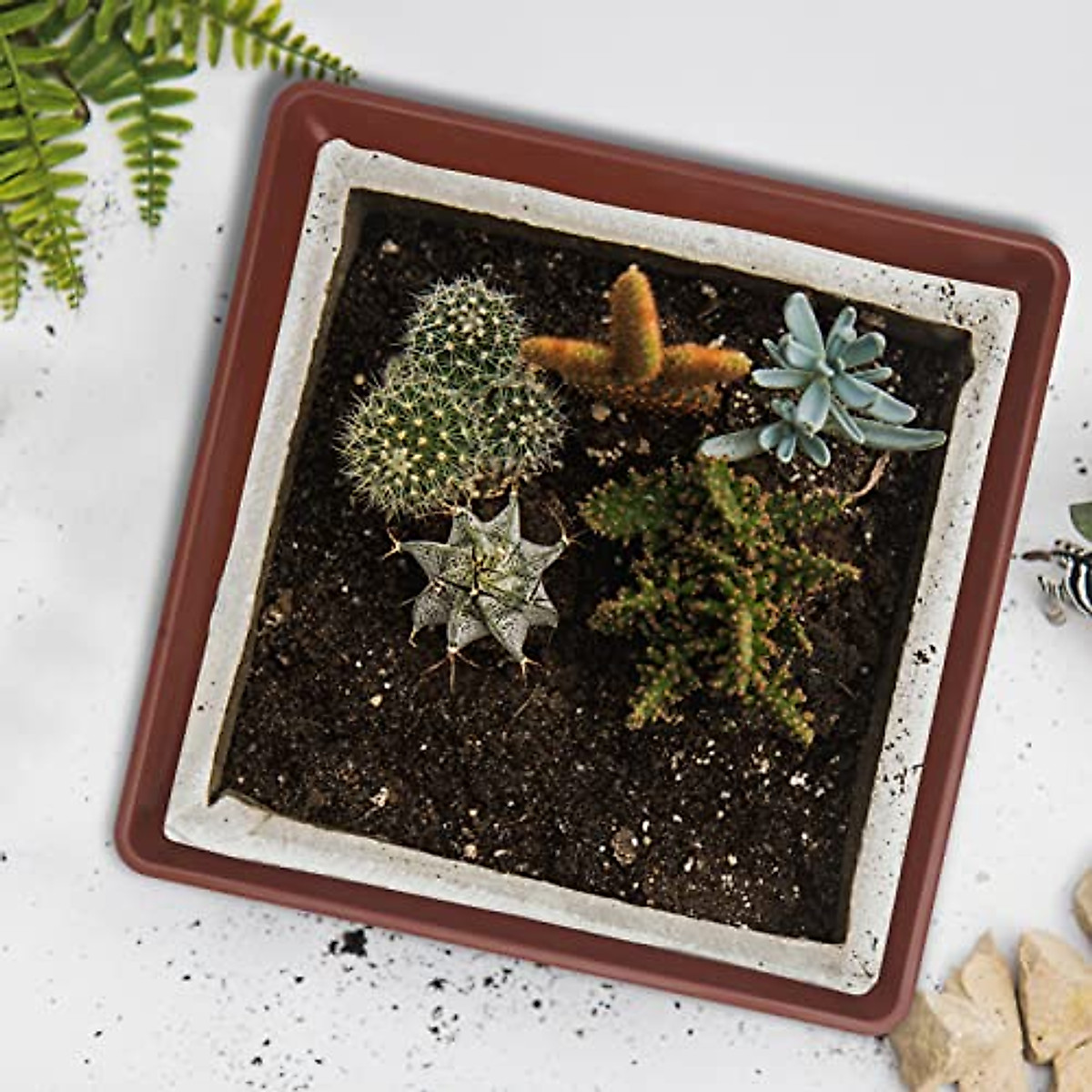 Yardwe 4pcs Flower Garden Flowerpot in Home Plastic Trays Drip Simple White/Pallets Red Plants Tray Holder Potted Accessories Indoors Practical Special Planters for Thick Bonsai Use