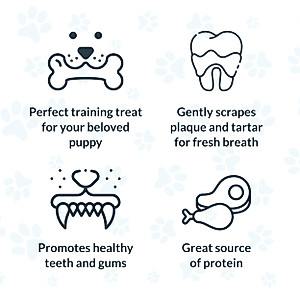 Pawveyor 5" Beefhide Munchy Sticks - 100 Beef-Flavored, All-Natural Granulated Rawhide Dog Chew Sticks for Small Dogs - Great Training Treats for Dogs or Puppy Treats for Small Puppies