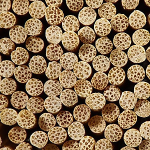 LIVAIA Wooden BBQ Skewers: 120 x Premium Bamboo Barbecue Skewers and Kebab Skewers Wood Extra Long - Wooden Skewers for Crafts - Round Wooden Skewers - Wooden Stick 11.4in - Bamboo Grill Skewers