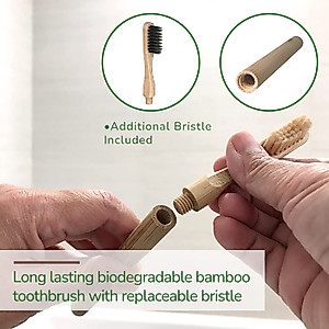 EcoLuxe Sustainable Gift Box Personal Care Travel Sized Toiletries Bundle, Bamboo Toothbrush, Dental Floss, Comb,Liquid Containers, Razor, Bamboo Travel Case and Stand, 9 Items