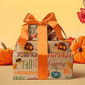 WRAPAHOLIC Kraft Fall Wrapping Paper - Mini Roll - 3 Rolls - 17 Inch x 120 Inch - Pumpkin, Hedgehog and Thanksgiving Lettering Design for Thanksgiving, Autumn, Party, Holiday