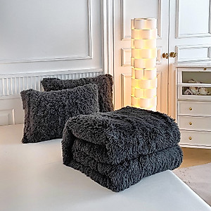 Shaggy Comforter Set Black Queen Size 3 Pieces Winter Faux Fur Comforter Set with 2 Pillowcases Ultra Soft and Easy Care Luxury Plush Warm Super Fleece Velvet Flannel Bedding Set