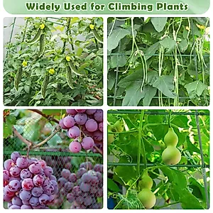 Tetutor Cucumber Trellis for Raised Beds, 63 x 45 Inch U-Shaped Garden Trellis for Climbing Plants Outdoors with Climbing Net, Metal Detachable Arch Plant Support Vegetable Trellis