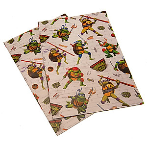 Danilo Teenage Mutant Ninja Turtles Gift Wrap, 2 Sheets 2 Tags, Gift Wrap for Presents, Officially Licensed Wrapping Paper