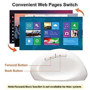 SANWA 2.4G Wireless Ergonomic Mouse White, Vertical Optical Ergo Mouse Small Hands, Cordless Mice for Wrist Pain, 800/1200/1600 DPI, 5 Buttons, Compatible Mac, Windows, PC, Desktop
