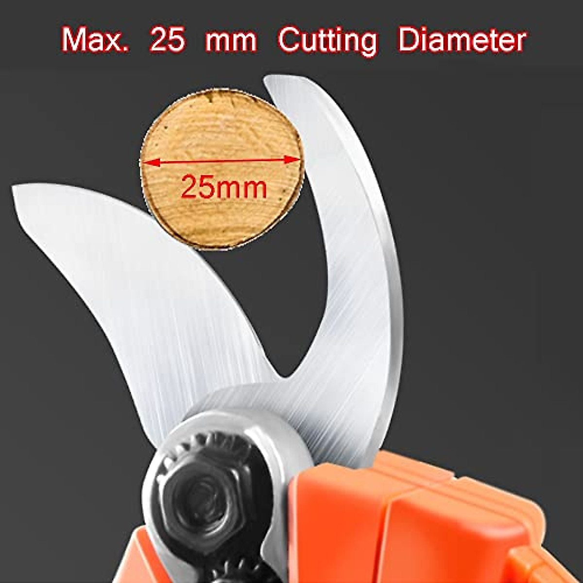 Vrseis Lithium Pruning Shears 21V Electric Secateurs SK5 Sharp Blade Branch Cutter 1 Inch/25mm Cutting Diameter with Toolbox Portable Rechargeable Garden Fruit Tree Bushes Trimmer