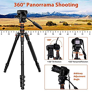 GEEKOTO Video Tripod Fluid Head,Professional Camera Tripod for DSLR,Monopod Aluminum 77" for Video Camcorder Canon Nikon Sony with 1/4" Screws Fluid Drag Pan Head,Load Capacity up to 20 Pounds