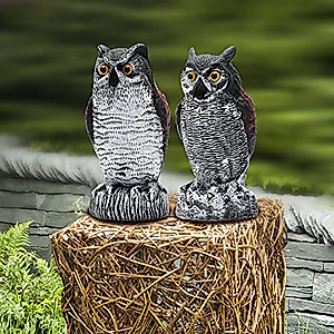KKY 2 Packs Fake Plastic Owl Bird, Garden owl Statue,Can Repel Pigeons Away from The House, Garden, Pool.