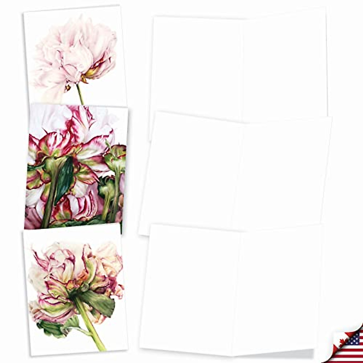 The Best Card Company - 10 Boxed Note Cards with Flowers - Blank Assorted Floral Notecards Bulk (4 x 5.12 Inch) - Precious Peonies AM6279OCB-B1x10