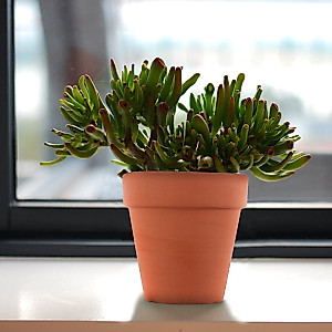 Sderoq 3 Inch Terracotta Pots - 22Pack Clay Flower Pots with Drainage Hole, Succulent Nursery Pot/Cactus Plant Pot. Great for Plants, Crafts, Wedding Favorn, DIY Production