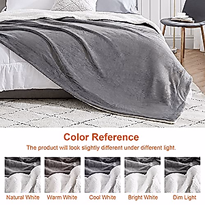 EHEYCIGA Sherpa Blanket Twin Size - Fuzzy Sherpa Fleece Blanket Twin Size Super Soft Plush Blanket, Thick Winter Blanket, Grey, 60x80 Inches