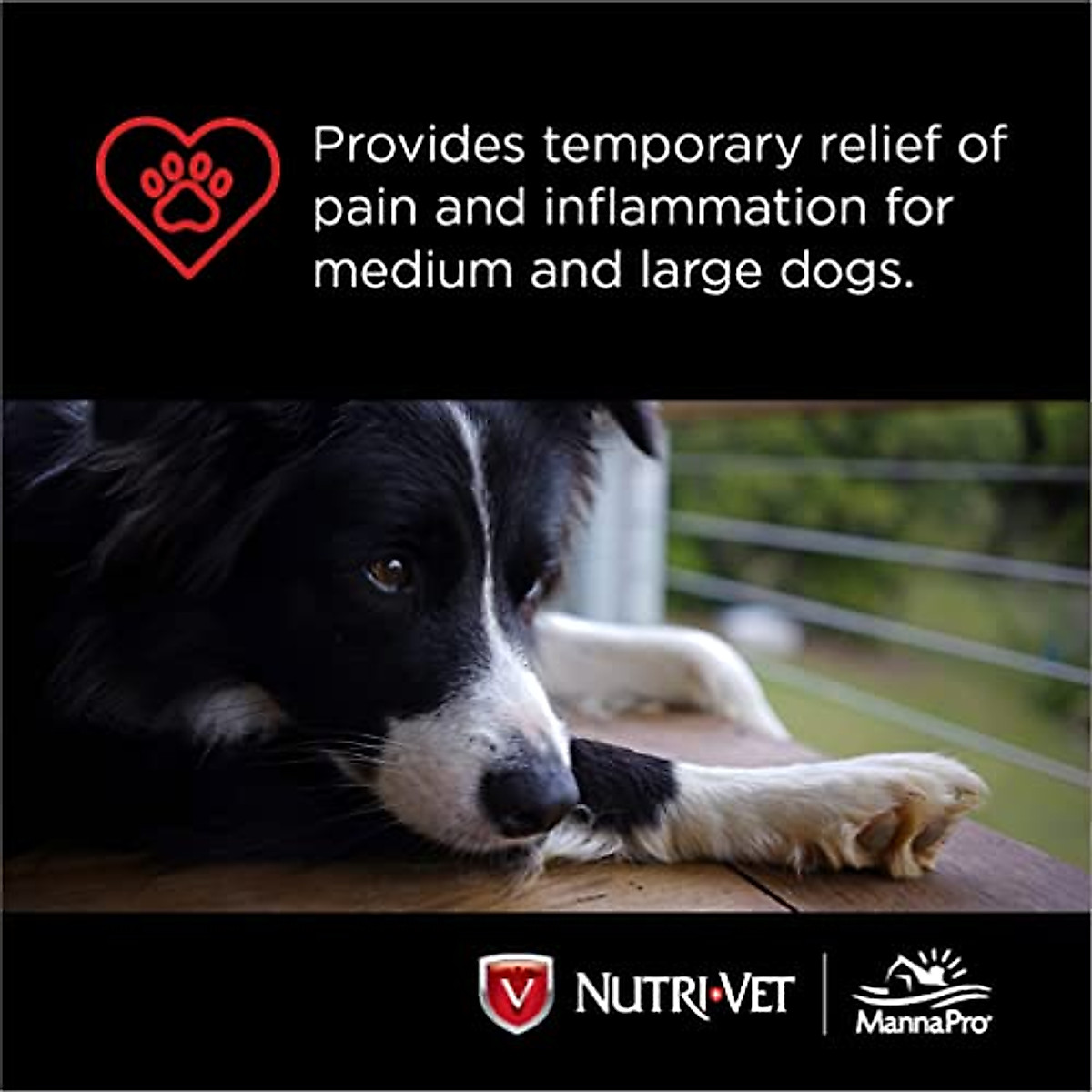Nutri-Vet Aspirin for Dogs | Medium to Large Dogs | 300mg | 75 count