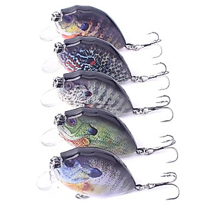 Sanpeng Crankbait Bass Crankbait Fishing Lures Set Shallow Deep Diving Swimbait Diving Wobblers Artificial Bait with 3D Eyes Lifelike Swimbait for Freshwater Saltwater Fishing (A-5pcs)