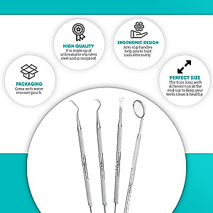 Dental Tools HOKIN Plaque Remover Teeth Cleaning Tool 4 Pcs Dental Care Kit Tooth Filling Repair Set Stainless Steel Dental Tools for Men Women Kids and Pet Care