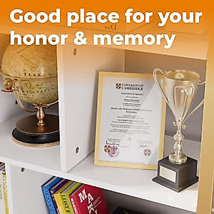 Gold and White Bookshelf with Doors, 4 Tier 39.4in Wide Heavy Duty Bookshelves with Cabinet Storage, Large Book Shelf 64.2" H x 39.4" W x 11.8" D Office Shelving, Wood & Metal Bookcase Living Room