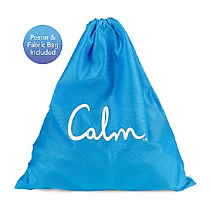 Spin Master 300-Piece Calm Jigsaw Puzzle for Relaxation, Stress Relief, and Mood Elevation, for Adults and Kids Ages 8 and up, You Belong Here