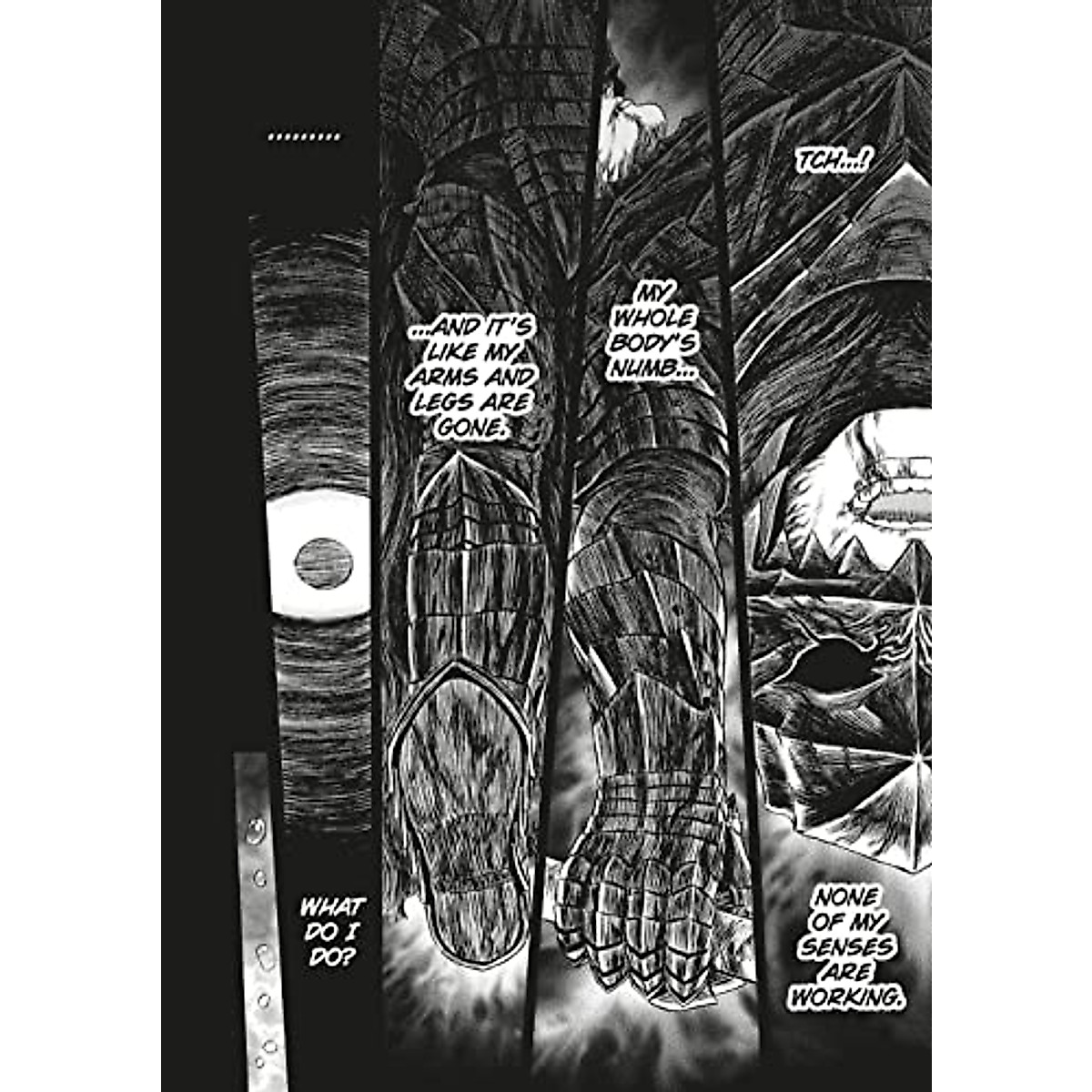 Berserk Deluxe Volume 13 (Berserk, 13)