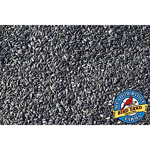 Meadow Ridge Farms Black Oil Sunflower Bird Seed, 40-Pound Bag