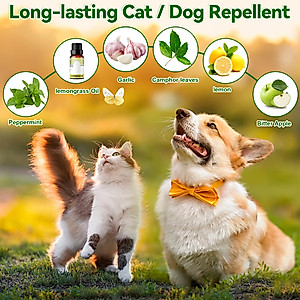 12 Pack Cat and Dog Repellent Balls - Natural Peppermint Oil Cat Deterrent for Indoor/Outdoor Use, Keeps Stray Cats Digging Dogs Away from Yard, Lawn, Garden, and Furniture - Safe for Pets and Family