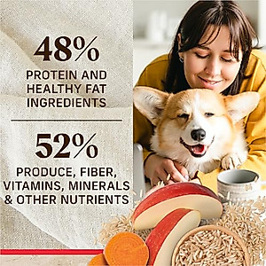 Merrick Healthy Grains Premium Adult Dry Dog Food, Wholesome And Natural Kibble With Beef And Brown Rice - 12.0 lb. Bag