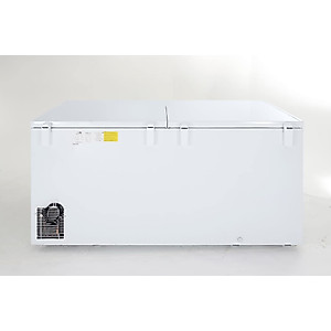 Kratos Refrigeration 69K-751HC Solid Top Chest Freezer, 30.0 Cu. Ft. Capacity
