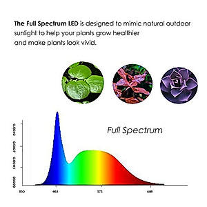 Hiro Aquatics Full Spectrum LED Light with Bamboo Board, Fits Aquarium Nano Tank, Betta Fish Tank, Potted Plants, Succulents, Miniature Landscape – 9W