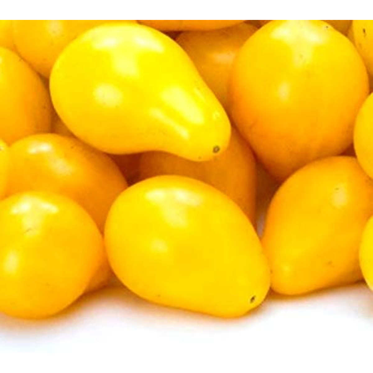 Yellow Pear Tomato Heirloom Seeds - Open Pollinated - B216 (80 Seeds, or 1/4 Gram)