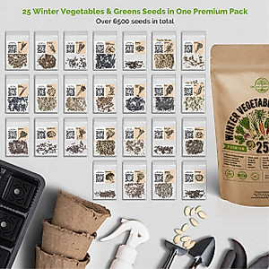 Organo Republic 25 Winter Vegetable Garden Seeds Variety Pack for Outdoors & Indoor Home Gardening 6500+ Non-GMO Heirloom Seeds: Broccoli Beet Carrot Collard Lettuce Radish Spinach Pea Kohlrabi