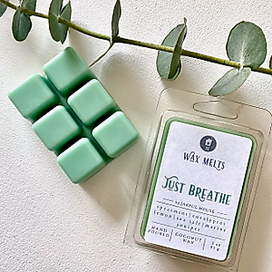 Jarful House Aromatherapy Wax Melts Just Breathe, Relaxing Fresh Scent Eucalyptus Lemon Mint Wax Cubes, Coconut Tarts, Stocking Stuffer Gift