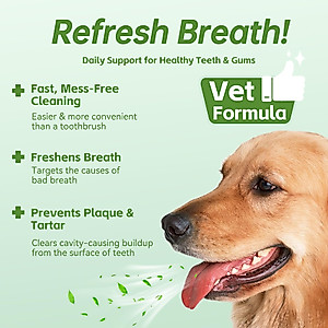 Ancopaws Teeth Cleaning for Dogs & Cats - Dental Care Finger Wipes to Remove Bad Breath - Pet Toothbrush Plaque and Tartar Remover - Tooth Brushing Kit (50 Count)