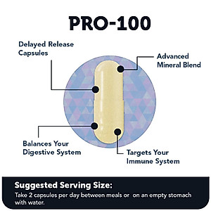 Vitamin Bounty Probiotics - 13 Probiotic Strains, Gut Health, Digestive Health, Probiotic for Women and Men, Delayed Release Embocaps (60 Capsules)