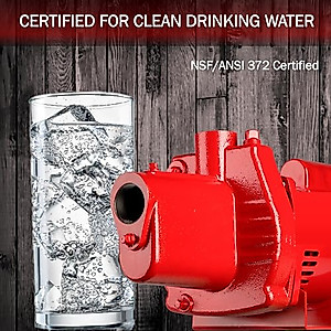 Red Lion RJS-100-PREM 1 HP, 23 GPM, 115/230 Volt, Premium Cast Iron Shallow Well Jet Pump, Red, 602208, 9.1 x 17.8 x 9.1 inches