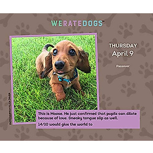 WeRateDogs 2020 Day-to-Day Calendar