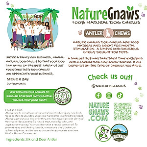 Nature Gnaws Antlers Tips for Small Dogs (1Lb) - Mix of Elk and Deer Antler - Variety of Short 2-4 inch Split and Whole Pieces