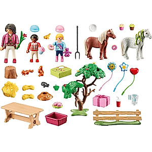 Playmobil Pony Farm Birthday Party