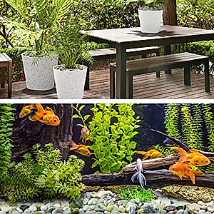 Future Way 5lbs Jade Aquarium Rocks, Pebbles for Indoor Plants, Bamboo, Decorative Stones for Fish Tank, Vase, Terrarium, 3/4 to 1 1/4 Inch, Matte Texture and Smooth Edge