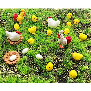 DoTebpa 22Pcs Miniature Family Chicken,Cock,Hen,Egg,Chicken Nest Ornament Micro Landscape Fairy Garden Décor