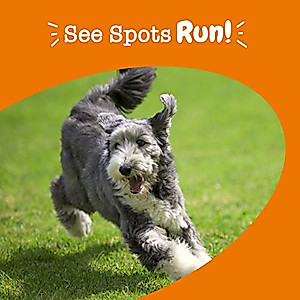 Zesty Paws Stay Green Bites for Dogs - Grass Burn Soft Chews for Lawn Spots Caused by Dog Urine - Cran-Max Cranberry for Urinary Tract & Bladder - with Apple Cider Vinegar + Digestive Enzymes - 90ct