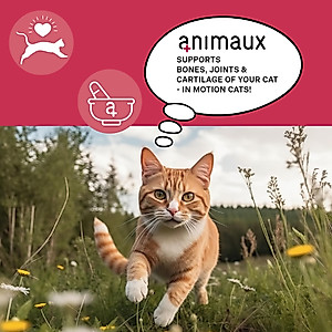 animaux - in Motion Cats, Green-lipped Mussel, Devil's Claw, Rose Hip & Ginkgo, Support for Bones, Joints, Cartilage, tendons, with Hyaluron, Collagen, 90 chewable Tablets, 90 Days Supply