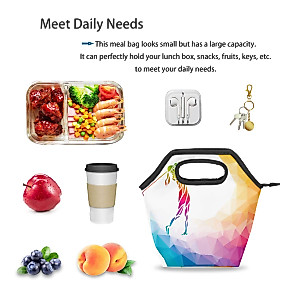 Lunch Bag Rainbow Geometric Golf Ball Insulated Reusable Lunch Box Portable Lunch Tote Bag Meal Bag Ice Pack for Boys Girls Adult Women