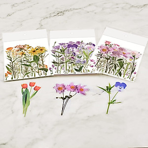 WANDIC Transparent Decorative Stickers, 240 Pieces Waterproof Floral Stickers Flower Sticker Set for DIY Diary Laptop Stationery Phone Case Envelop Calendar Card Making